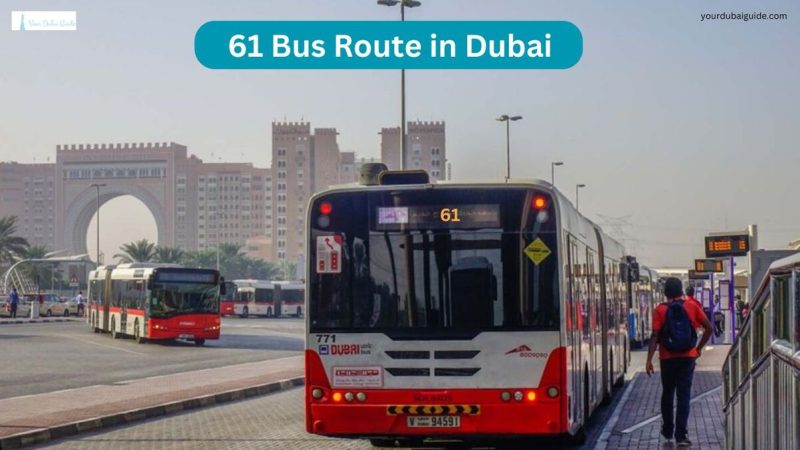 61 Bus Route in Dubai - Time Schedule, Stops and Maps - Your Dubai Guide