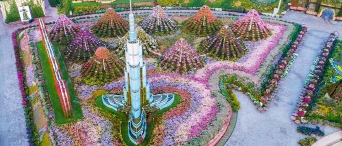 Dubai Miracle Garden: Attraction, Cost, Open time - Your Dubai Guide