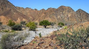 Trekking Spots In UAE - Your Dubai Guide
