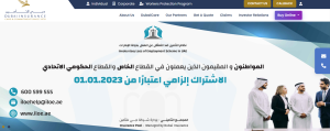 Dubai Insurance Company in UAE Contact Details, Services, How to Book ...
