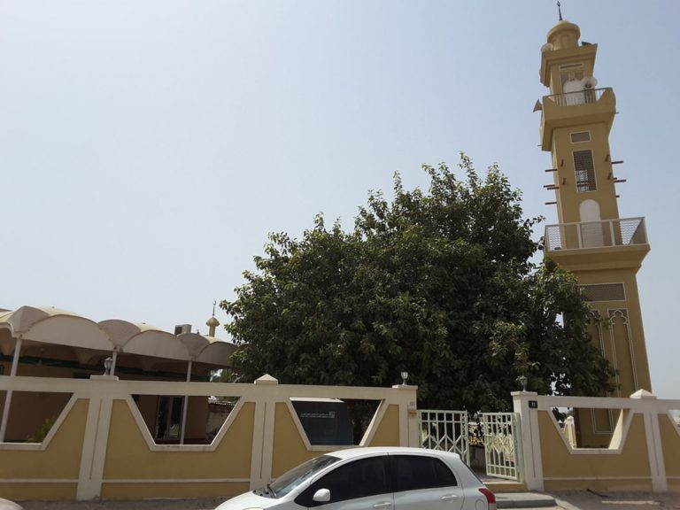 Al Qusais Area Guide - Your Dubai Guide