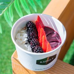 Saddle Cafe at Expo 2020, Dubai – Your Dubai Guide