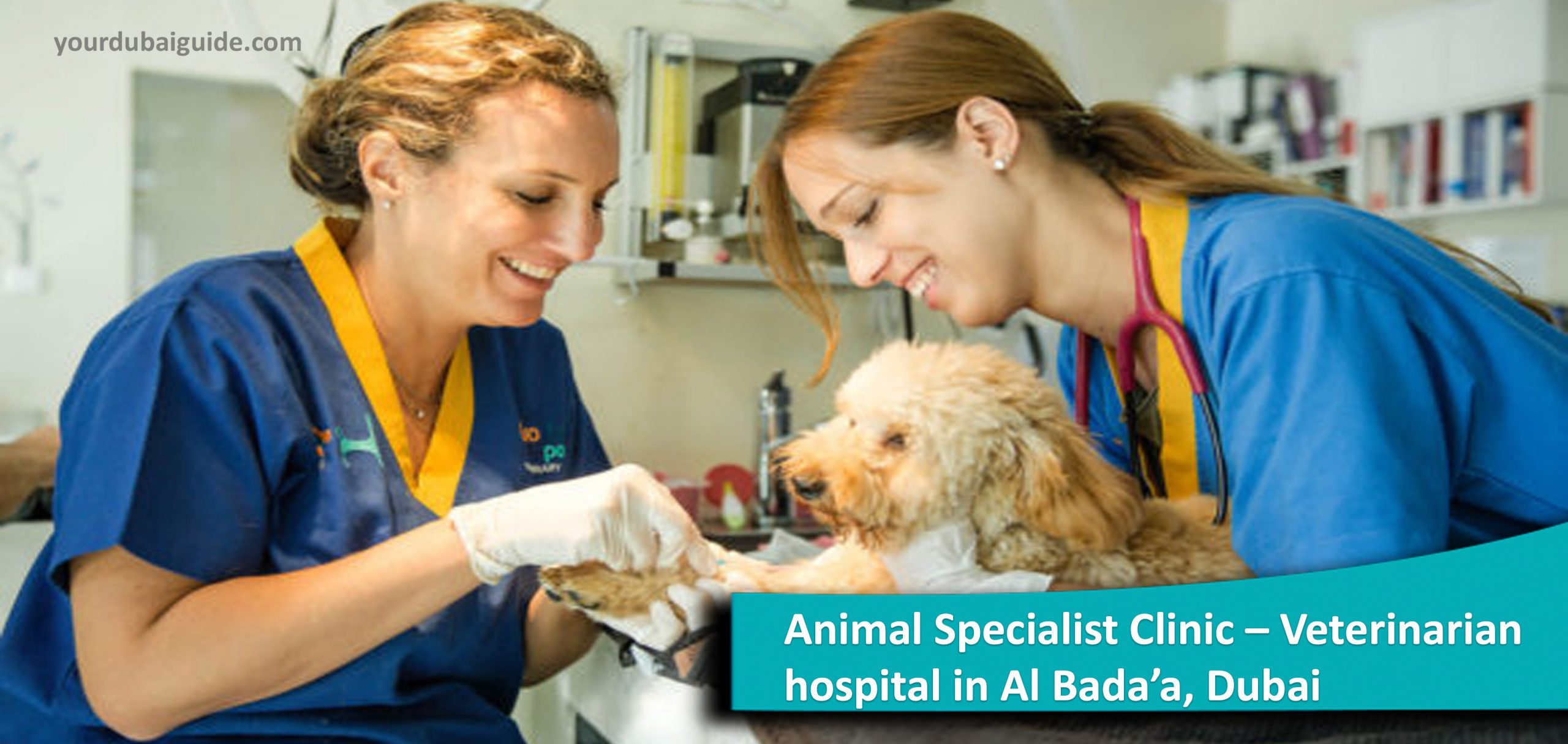 Animal Specialist Clinic - Veterinarian hospital in Al Bada'a, Dubai ...
