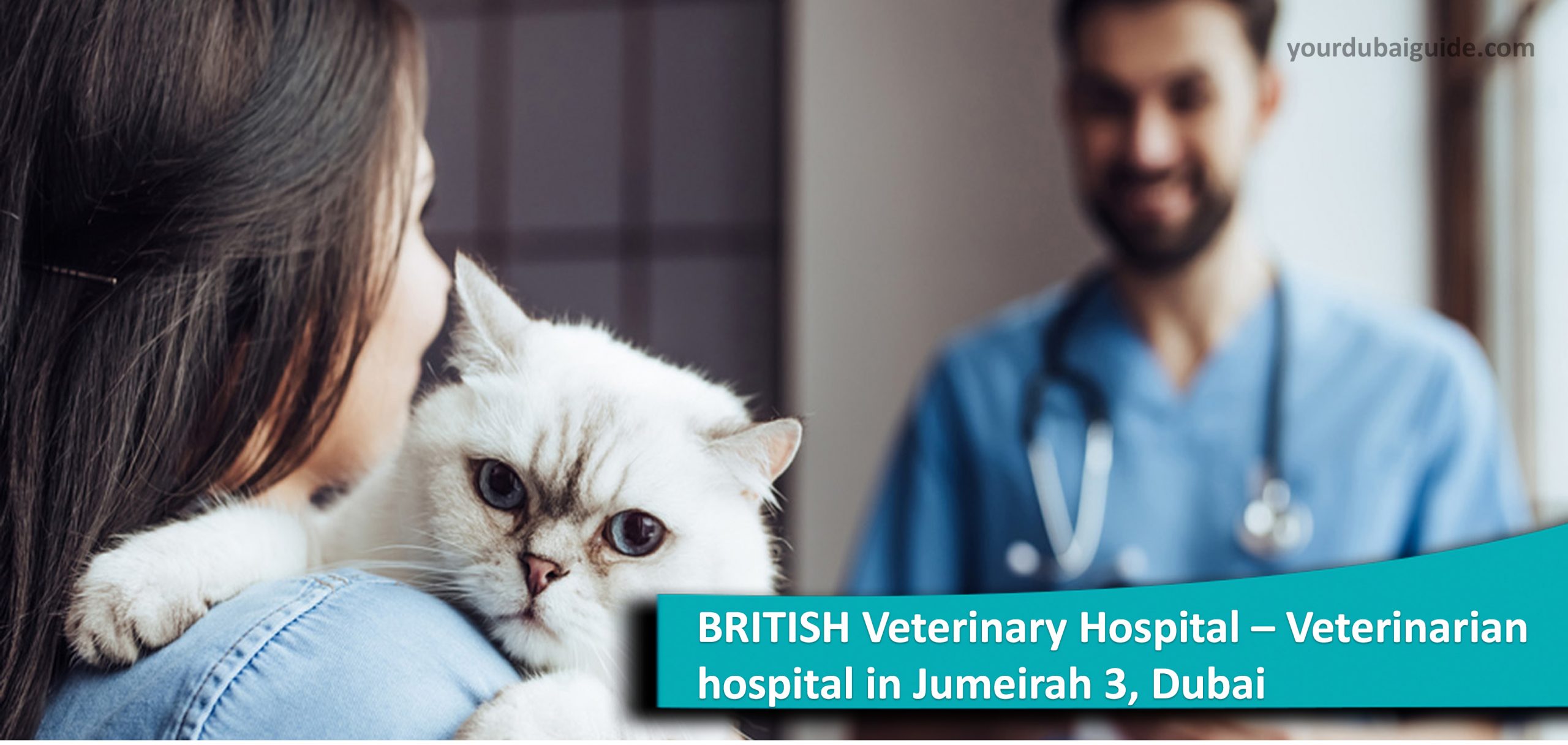 BRITISH Veterinary Hospital - Veterinarian hospital in Jumeirah 3 ...