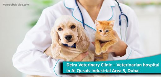 Veterinary Clinic / Hospital Archives - Your Dubai Guide