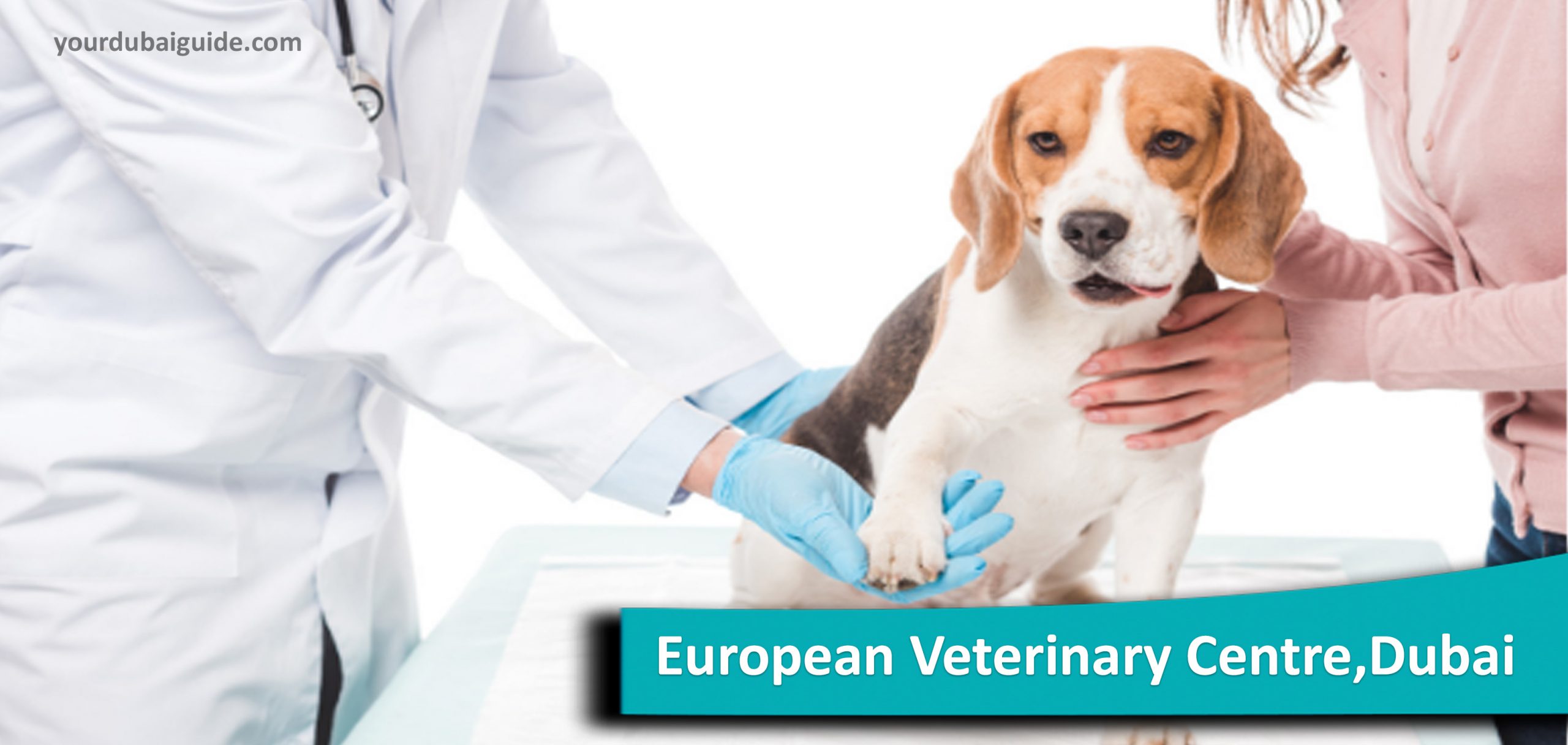 European Veterinary Centre - Veterinarian hospital in Jumeirah 3, Dubai ...