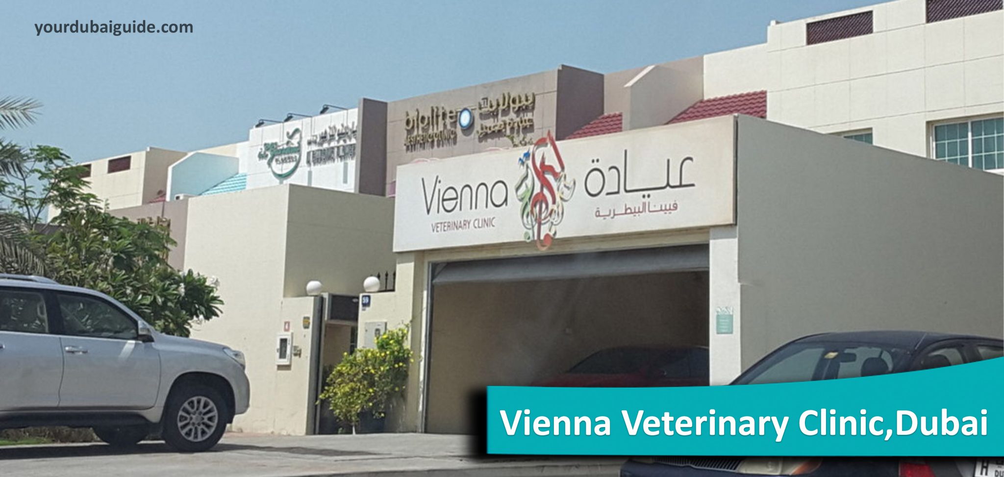 Vienna Veterinary Clinic - Veterinarian hospital in Umm Suqeim 2, Dubai ...