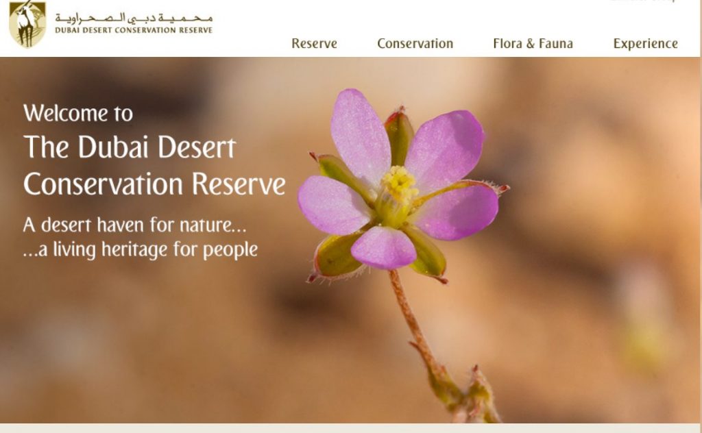 Dubai Desert Conservation Reserve in Margham, Sharjah, UAE - Your Dubai ...