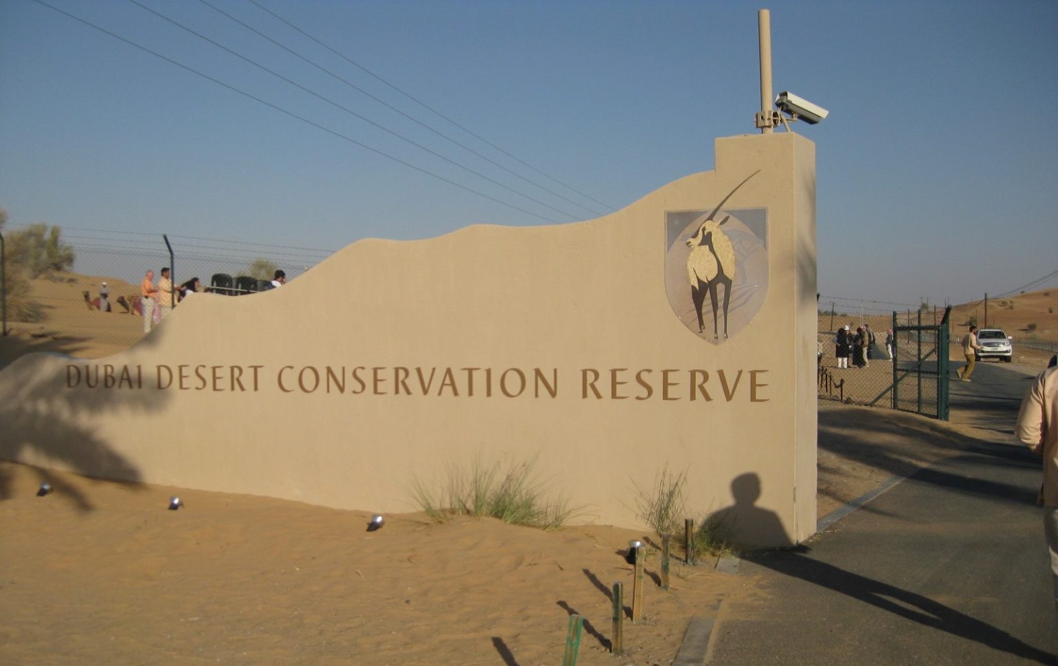 Dubai Desert Conservation Reserve in Margham, Sharjah, UAE - Your Dubai ...
