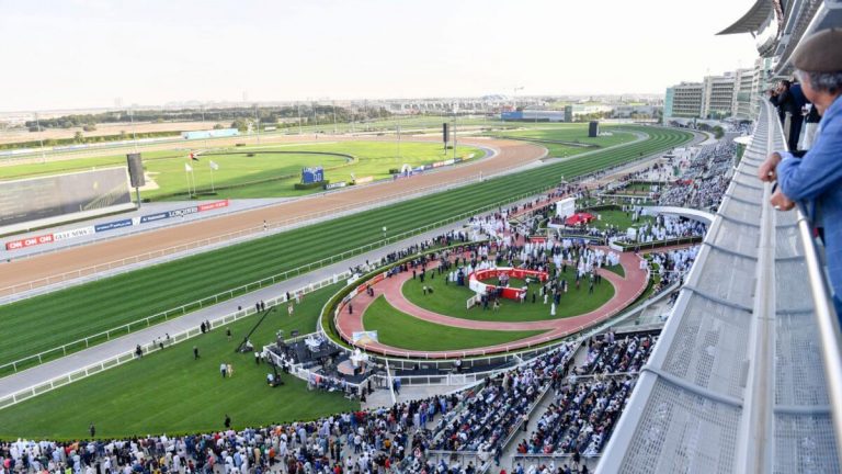 Dubai Racing Club (DRC) in UAE Customer Care Phone number, Address: How ...