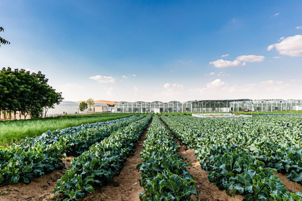 # 9 Best Farms to visit in Dubai: 9 bestfarms in Dubai,UAE - Your Dubai ...