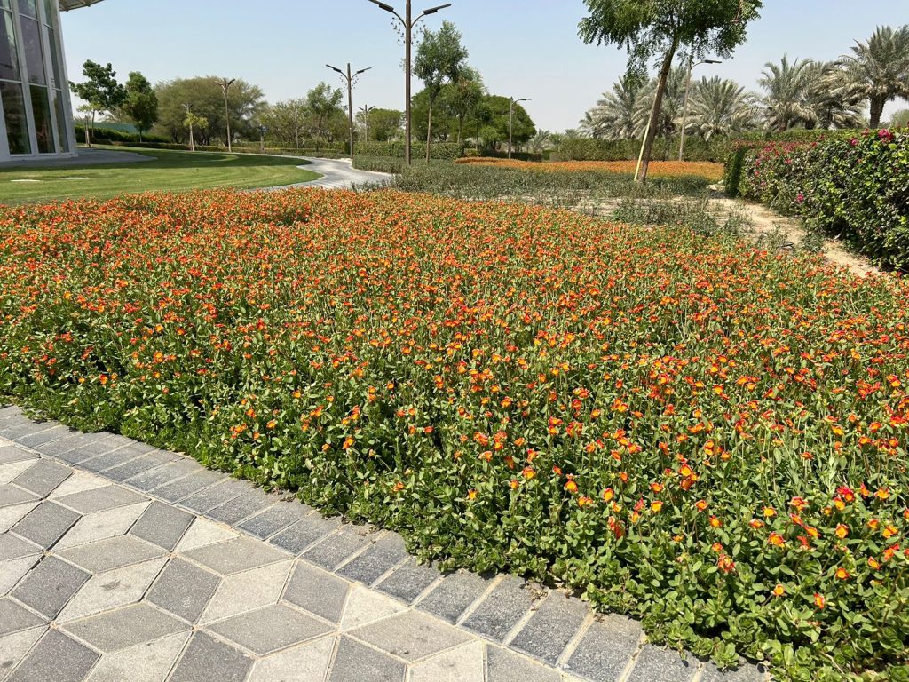Quranic Park Botanical Garden in Al Khawaneej, Dubai, UAE Customer Care ...