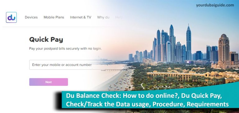 Du Balance Check: How to do online?, Du Quick Pay, Check/Track the Data ...
