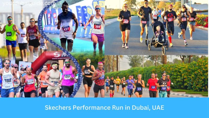 Home Sample - Your Dubai Guide